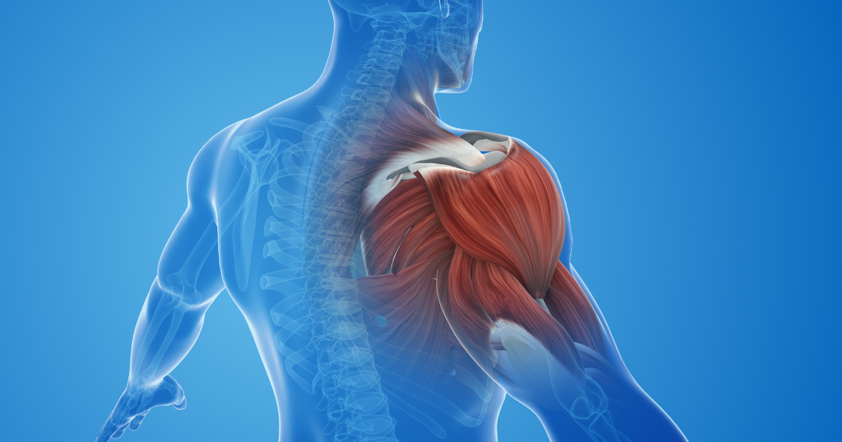 IGF-1 LR3: Uses, Benefits, And Safety Explained – Peptide Health Reviews